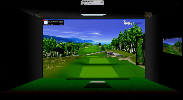 Advanced Golf Simulators: Business